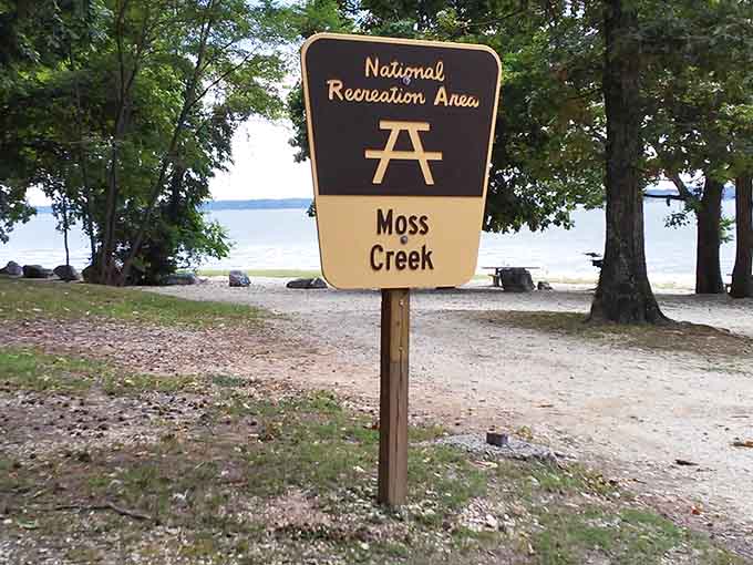 When you see this sign, you know you've arrived at your new favorite escape from reality.