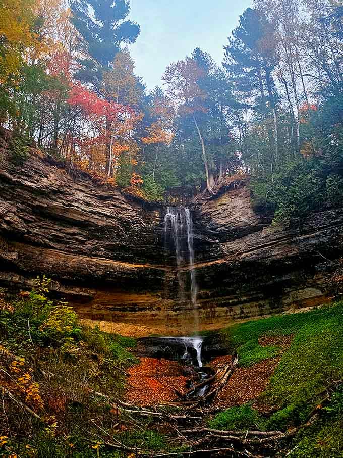 The forest frames this waterfall like a master painter composing their greatest work of art.