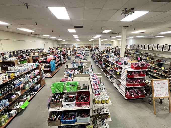 Step inside My BargainMart where aisles stretch like possibilities and your budget finally catches a break.