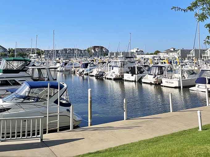 This marina proves that Michigan can absolutely compete with any coastal destination you've been bragging about visiting.