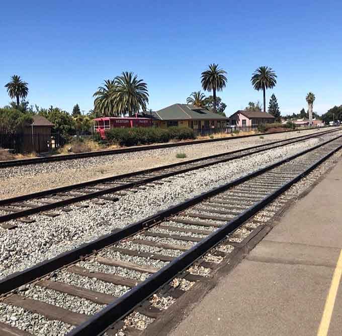 Palm trees and railroad tracks make an unexpectedly perfect pairing, like peanut butter meeting jelly for the first time.