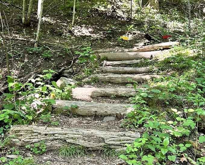 These wooden steps lead somewhere special, like a stairway to geological heaven minus the actual climbing to heaven part.