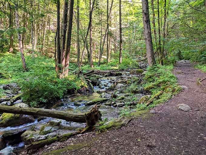 Nature's own therapy session, complete with babbling brook soundtrack and zero copay required for this mental health boost.
