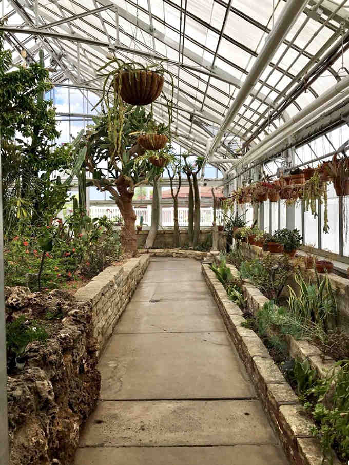 Hanging baskets overhead create a jungle canopy that'll make your living room fern deeply jealous.