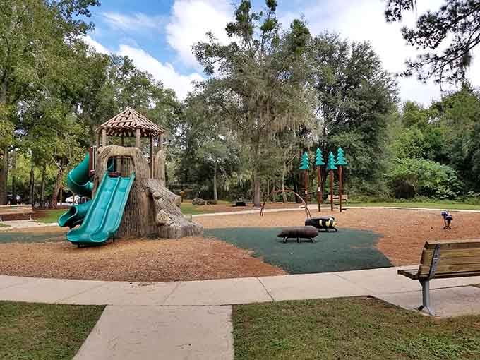 Scott Springs Park offers playgrounds where kids can be kids without requiring a second mortgage.