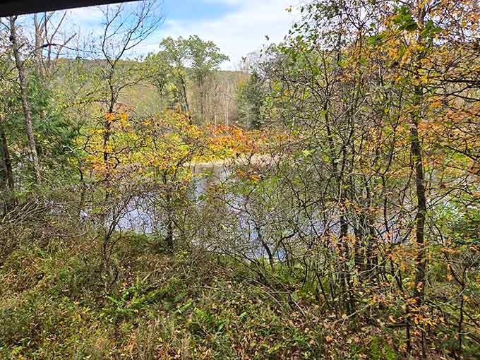 Oil Creek winds through the valley like nature's own scenic highway, best viewed from a comfortable train seat.