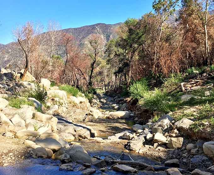 North Fork Matilija Creek proves that Southern California does have water, you just have to hike to find it.