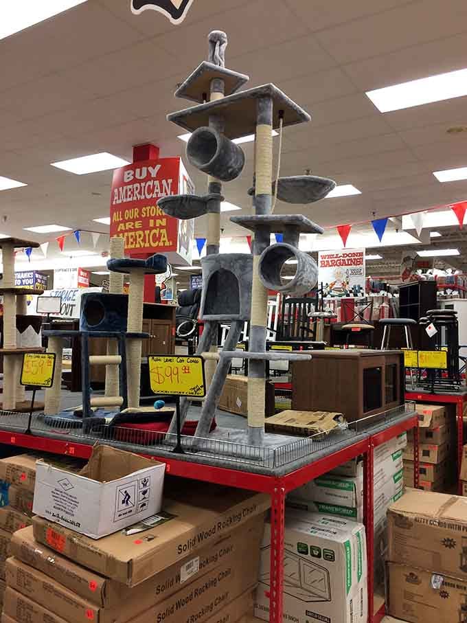When your cat's furniture budget rivals your own, these towers offer redemption at prices that restore sanity.