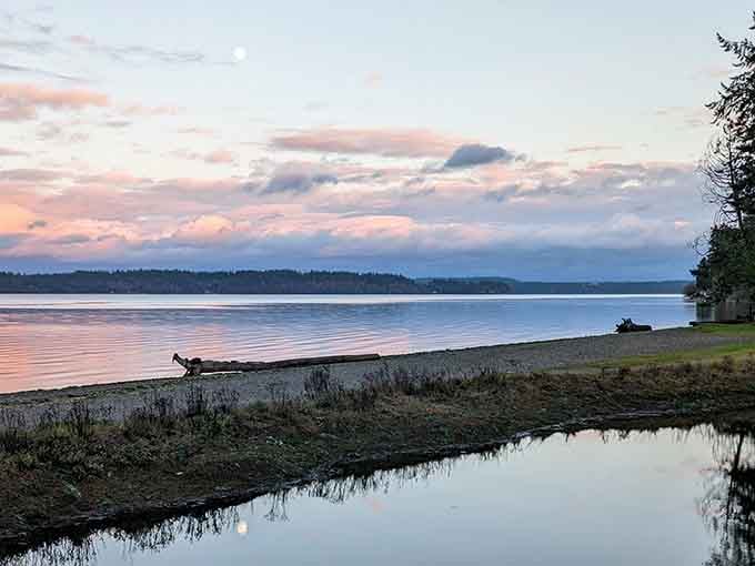 Tolmie State Park delivers those postcard-perfect Puget Sound sunsets that make you forget to check your phone for hours.