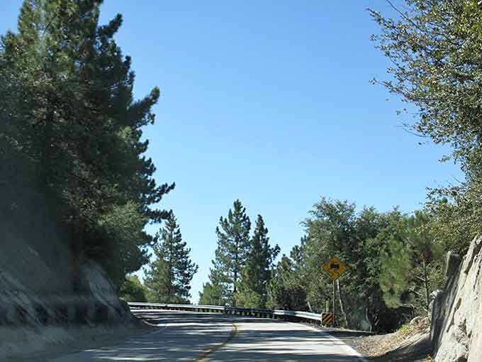 This serpentine stretch hugs the mountainside tighter than your aunt at Thanksgiving dinner.
