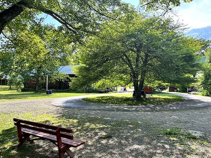 The perfect spot to contemplate life's mysteries, or just rest your weary legs after all that rock scrambling.