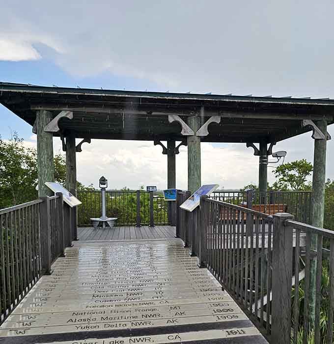 Stand here and you'll understand why birds chose this spot first, long before any real estate agent could claim credit.