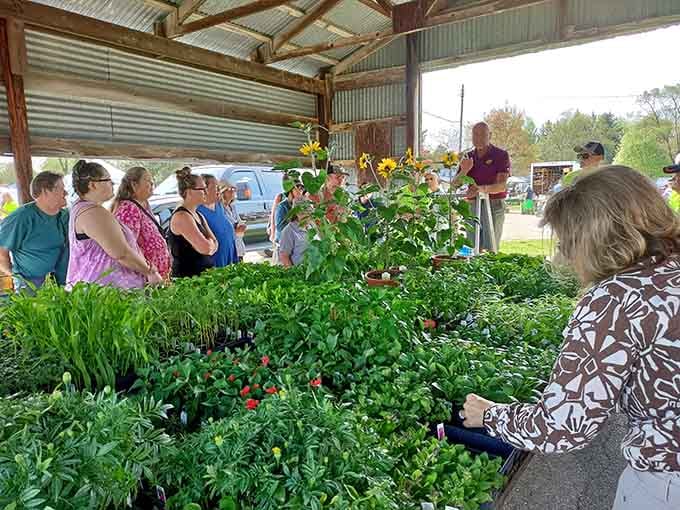 Nothing says spring like a crowd gathered around fresh plants, everyone suddenly convinced they've got a green thumb this year.