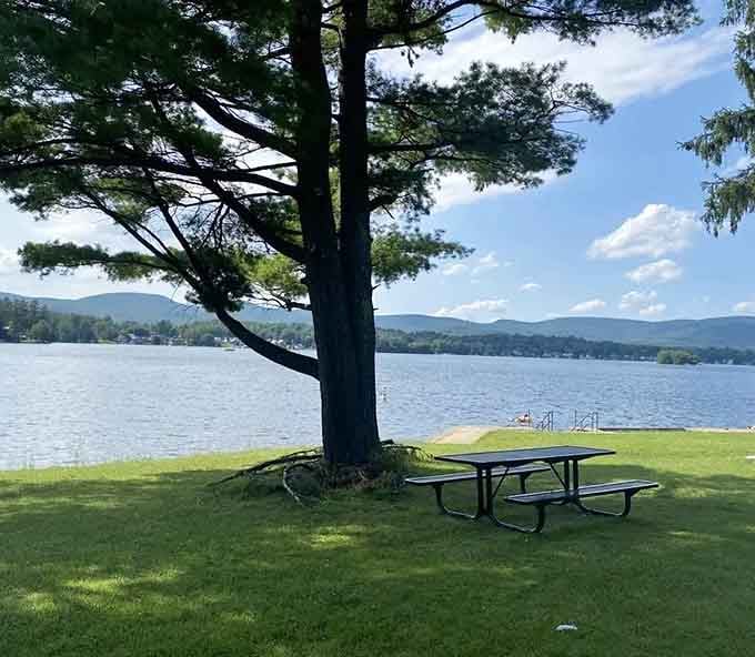 That picnic table under the shade tree is basically begging you to bring sandwiches and stay all afternoon.