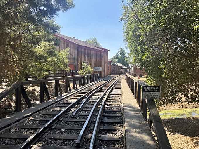 This wooden trestle bridge has more character than most modern highways, and infinitely better views too.