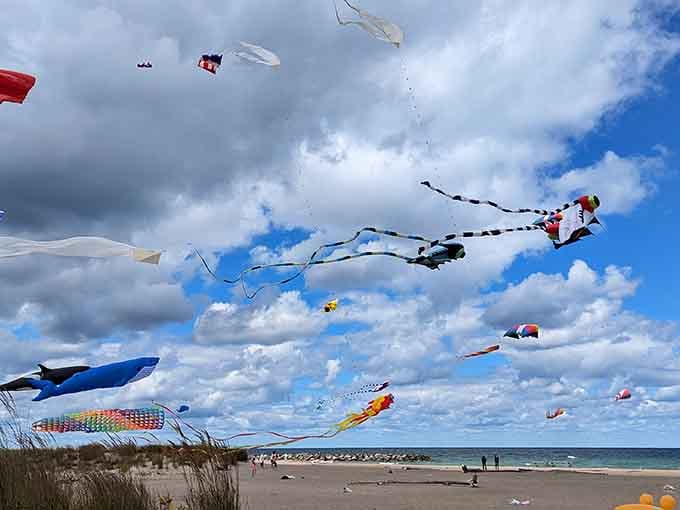 The sky above Presque Isle becomes a canvas of colorful kites, turning a beach day into pure whimsy.