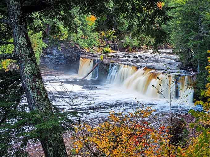 When waterfalls get that caramel color from tannins, it's like Mother Nature decided to add a vintage filter.