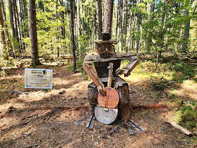 Someone turned a tree stump into art, because even our forests have creative ambitions in Jersey.