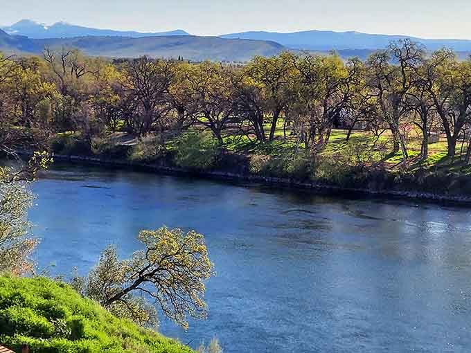 The Sacramento River winds through town, offering views that don't require a three-hour hike or parking fees.