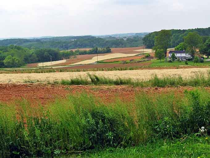 Rolling farmland that proves Maryland's more than cities and crabs, it's got serious pastoral credentials too.