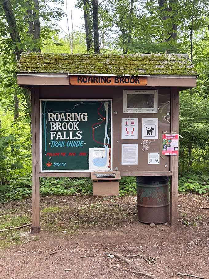 This moss-topped kiosk holds all the trail secrets, like a woodland bulletin board designed by Mother Nature herself.