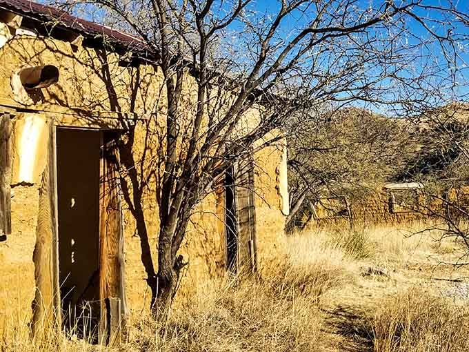 That doorway leads nowhere now, but once welcomed weary miners home after long shifts in the darkness below.