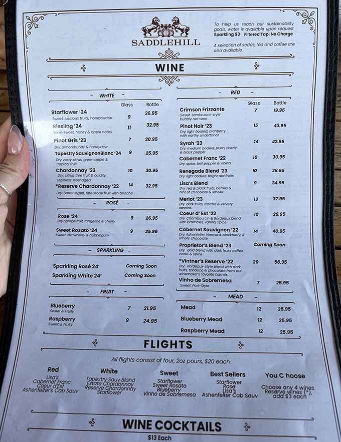 This menu reads like a love letter to wine diversity, from sweet fruit varieties to sophisticated reds that'll impress your pickiest friend.