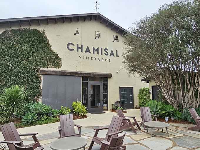 Wine tasting in a setting this relaxed should probably be prescribed by doctors for stress relief.