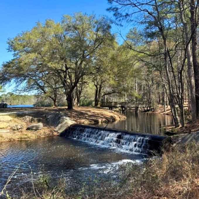 A gentle waterfall tucked among the trees proves that not all treasures require a treasure map to find.