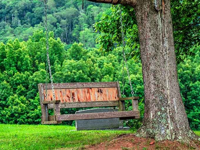 This swing has witnessed more peaceful moments than a therapist's couch, minus the hourly rate.
