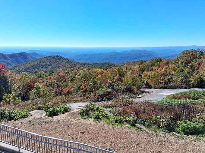 Layer upon layer of mountains stretch toward infinity, proving South Carolina has serious depth.