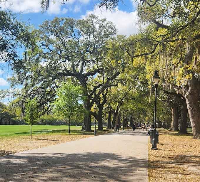 Spanish moss drapes from ancient oaks like nature's own decorations in this peaceful urban sanctuary.