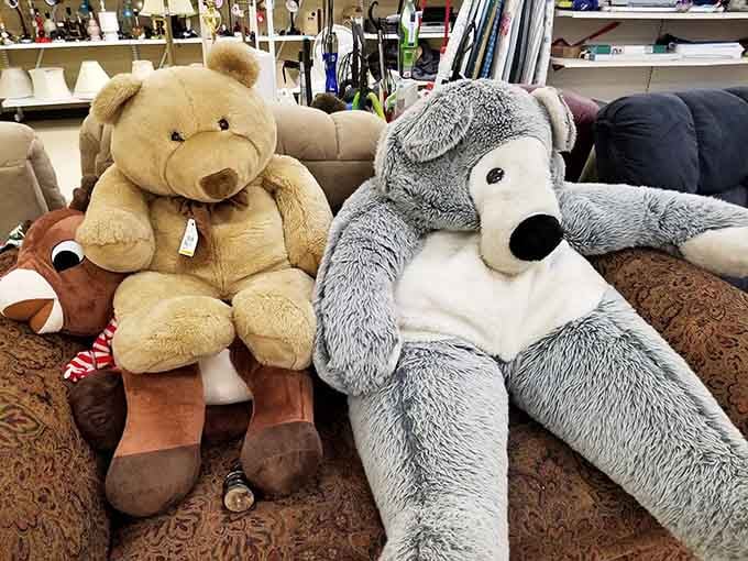 These oversized plush friends are waiting for new homes, proving you're never too old for a good cuddle buddy.