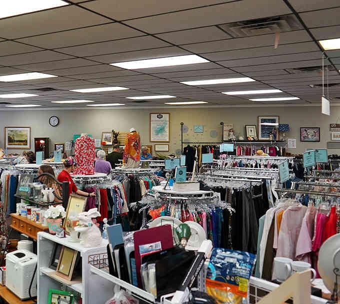 Bright fluorescent lighting reveals organized aisles where treasure hunting feels more like shopping and less like archaeological excavation.