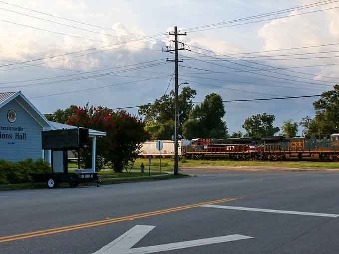 When freight trains rumble through downtown, it's a reminder that some Georgia towns still move at their own pace.