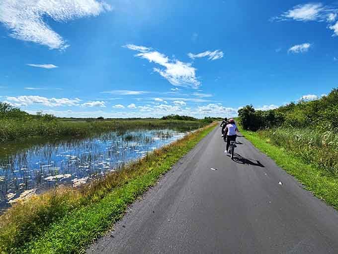 Two wheels, endless wetlands, and not a traffic jam in sight&mdash;this is Miami's best-kept commuting secret.