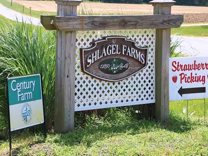 The weathered wood and classic signage welcome you to a place where time slows down delightfully.