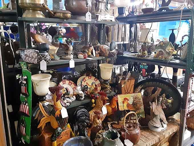 From decorative roosters to vintage finds, these shelves hold more stories than your grandmother's attic ever could.