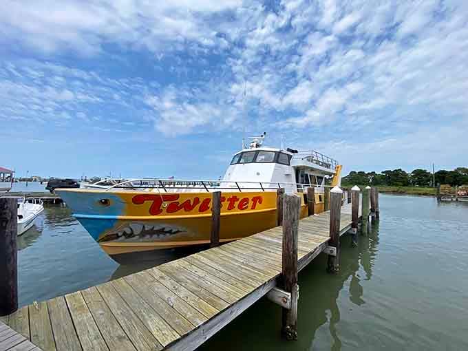 Your chariot awaits to whisk you away from the mainland madness to pure island tranquility.