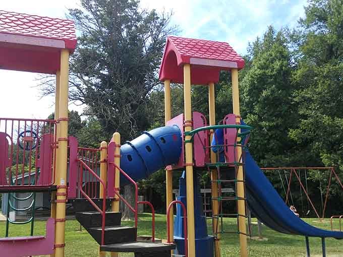 This playground equipment has seen more genuine childhood joy than a thousand indoor trampoline parks combined.