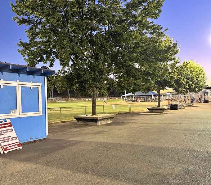 Standard Park offers shade trees and open space, proving small towns know how to do community gathering spots right.