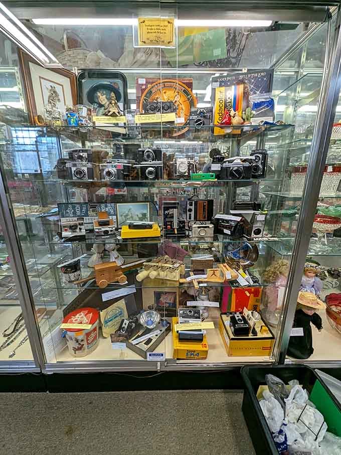 Vintage cameras line up like a photography museum where everything's actually for sale and touchable.