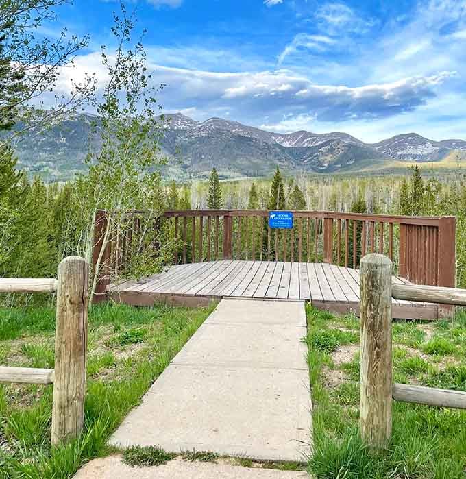 The Moose Overlook at State Forest State Park offers panoramic views that justify every mile of the drive.