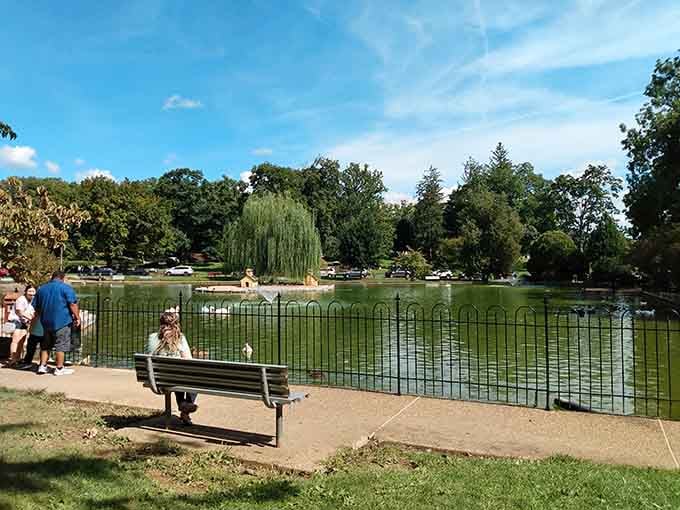 Gypsy Hill Park's duck pond: where contemplating life's mysteries becomes surprisingly easy with waterfowl as your therapists.