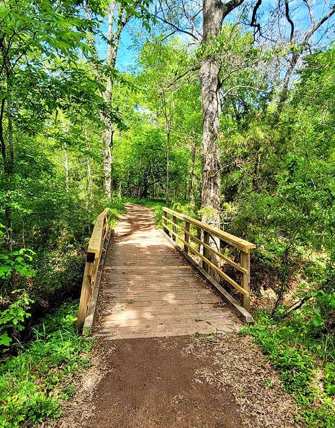 Wooden footbridges lead you deeper into the forest, where your biggest decision is which direction to wander next.