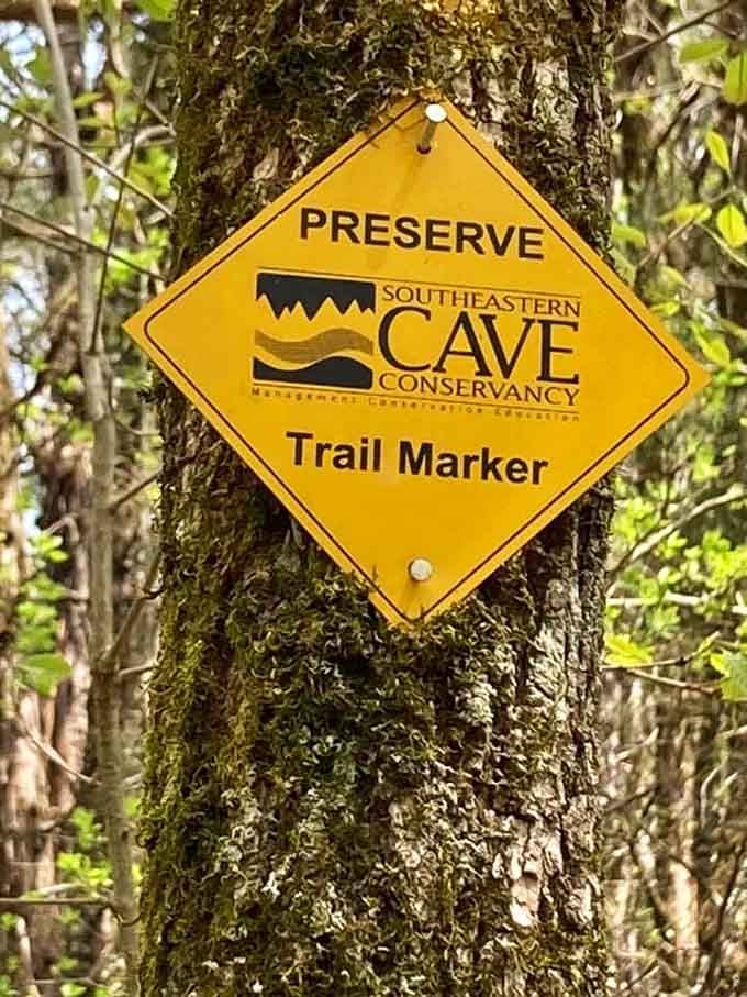 When trail markers look this official, you know you're about to do something wonderfully questionable.