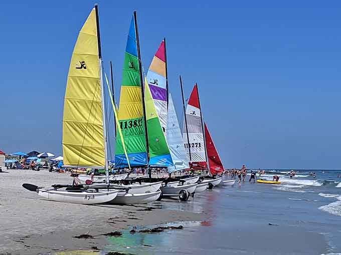 These colorful sailboats look like they're ready to race straight into a postcard-perfect afternoon.