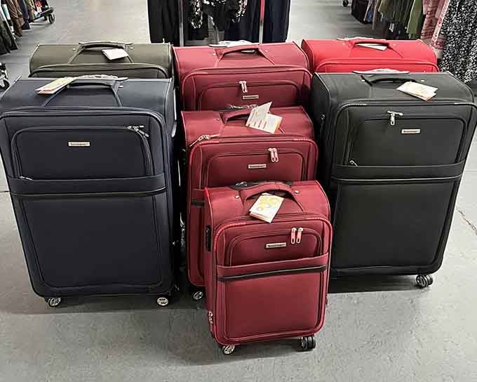 Luggage in every color of the rainbow, because your suitcase should reflect your personality, not just your practicality.