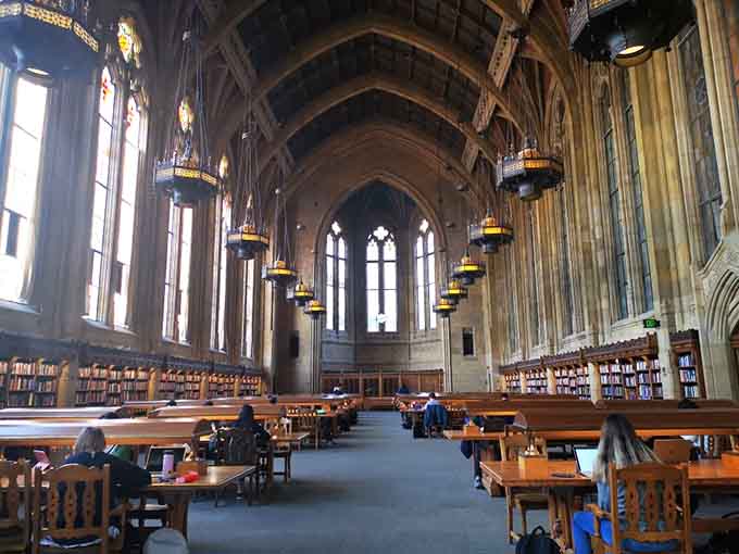 Sixty-five feet of soaring ceiling glory that makes you want to whisper even when nobody's watching.