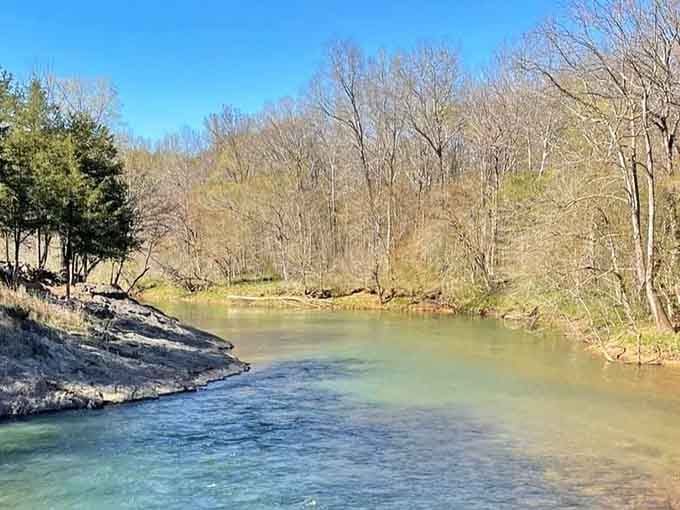 Crystal-clear water meets limestone bluffs in a scene that belongs on a postcard, not your backyard.